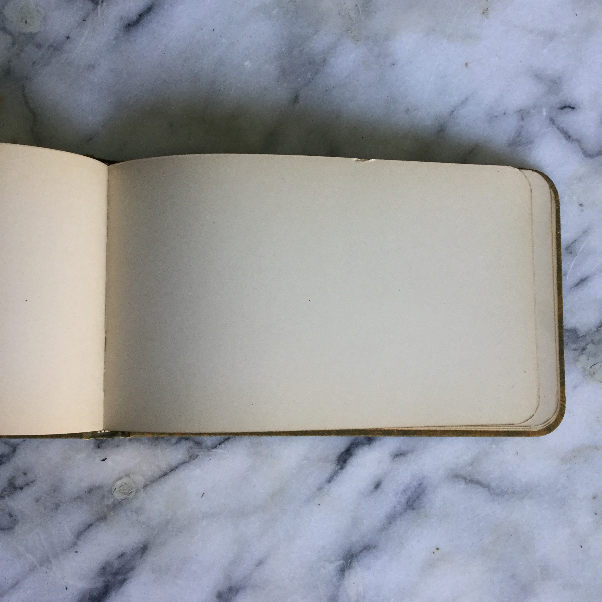 Antique Journal Album Empty Sign In Floral Book 1880s | Etsy