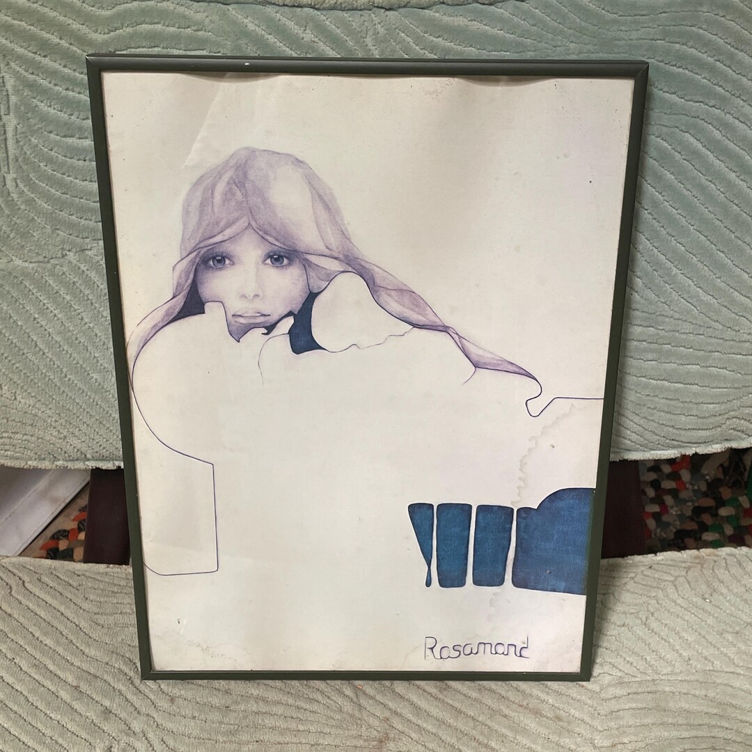 1970s Christine Rosmand Blue Ice Poster Warped Damaged Framed Vintage ...