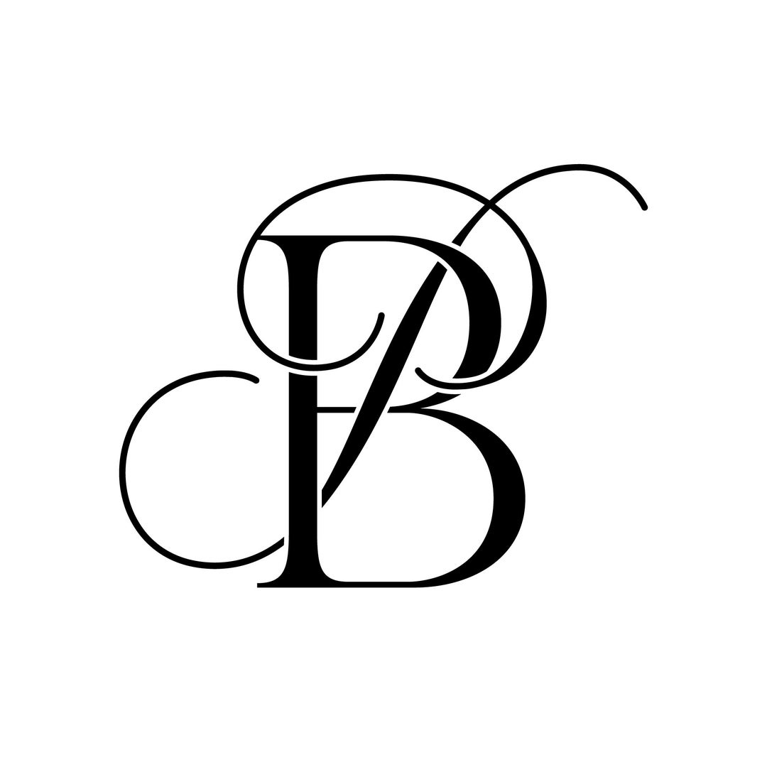 Name Initials Logo, Company Initials Logo, Monogram Logo, PB, BP - Etsy