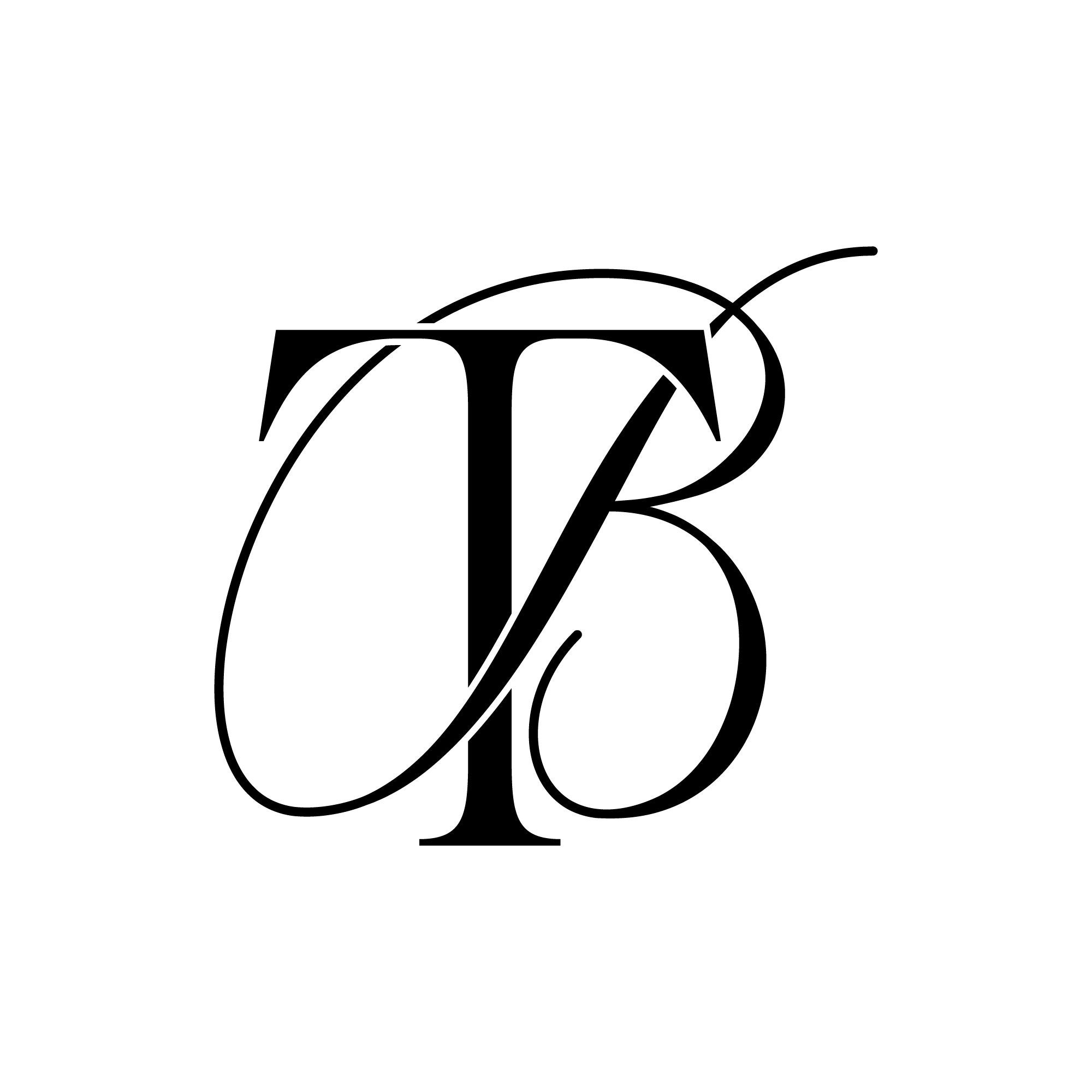 Monogram Business Logo, Modern Logo Design, Premade Logo, BT, TB - Etsy