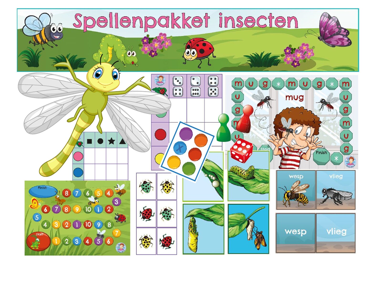Insects Educational Games - Etsy