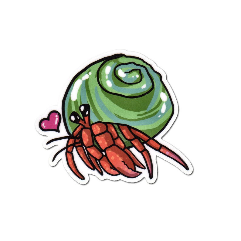 Hermit Crab Vinyl Sticker Laptop Stickers Cute Crabs | Etsy