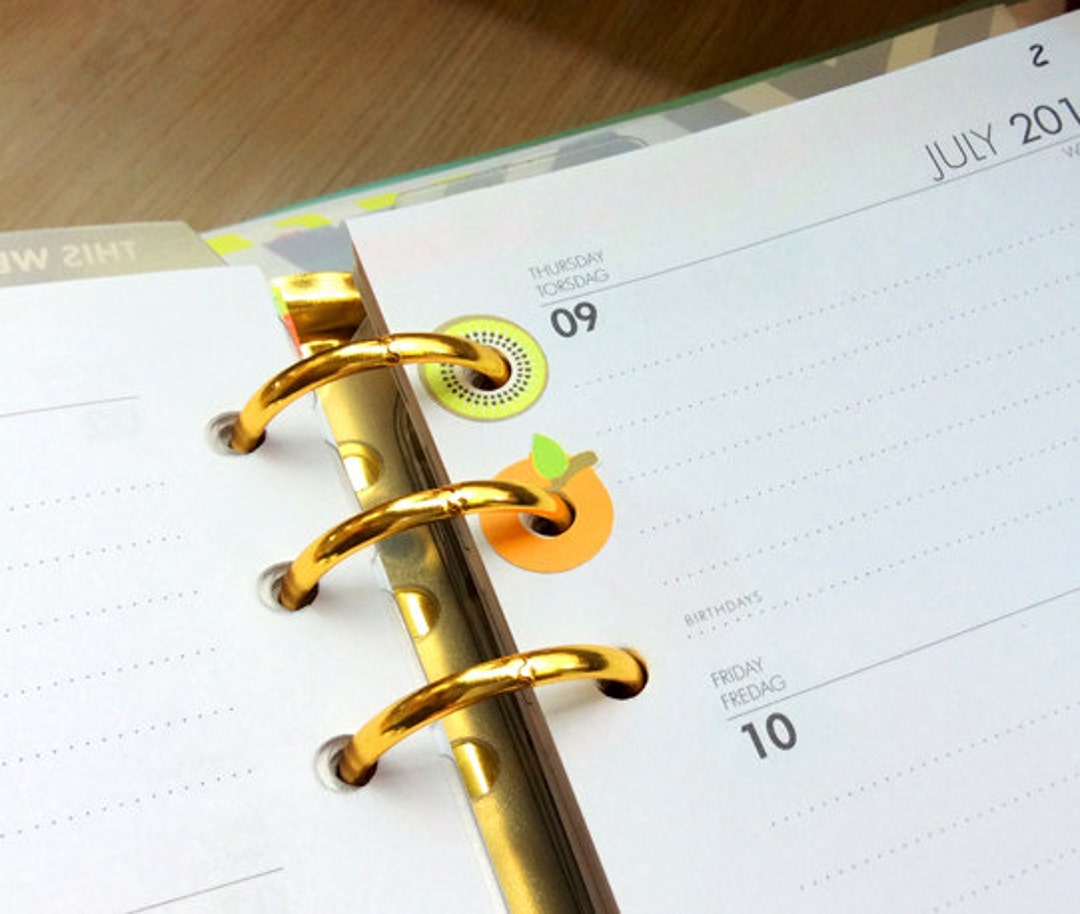 Planner/binder Page Reinforcements - Etsy