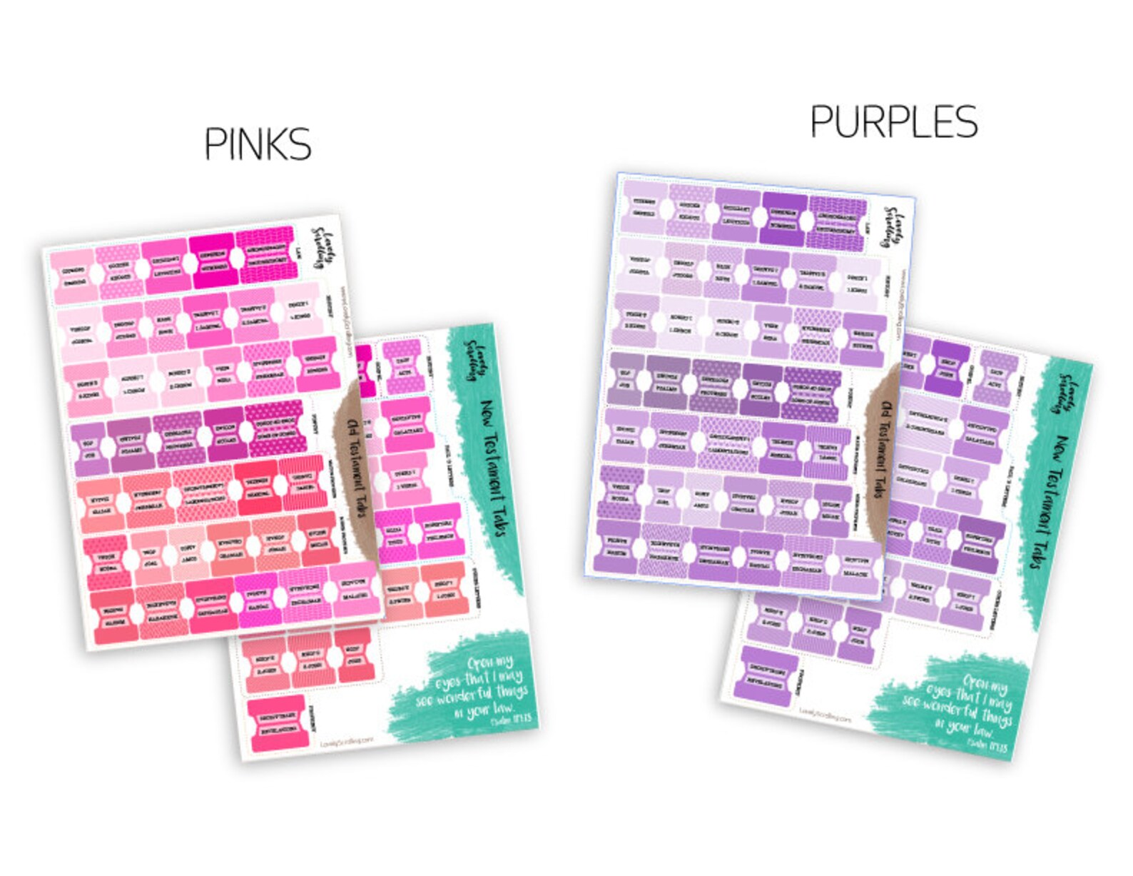 Bible Tabs color Divisionenglish or Spanish - Etsy