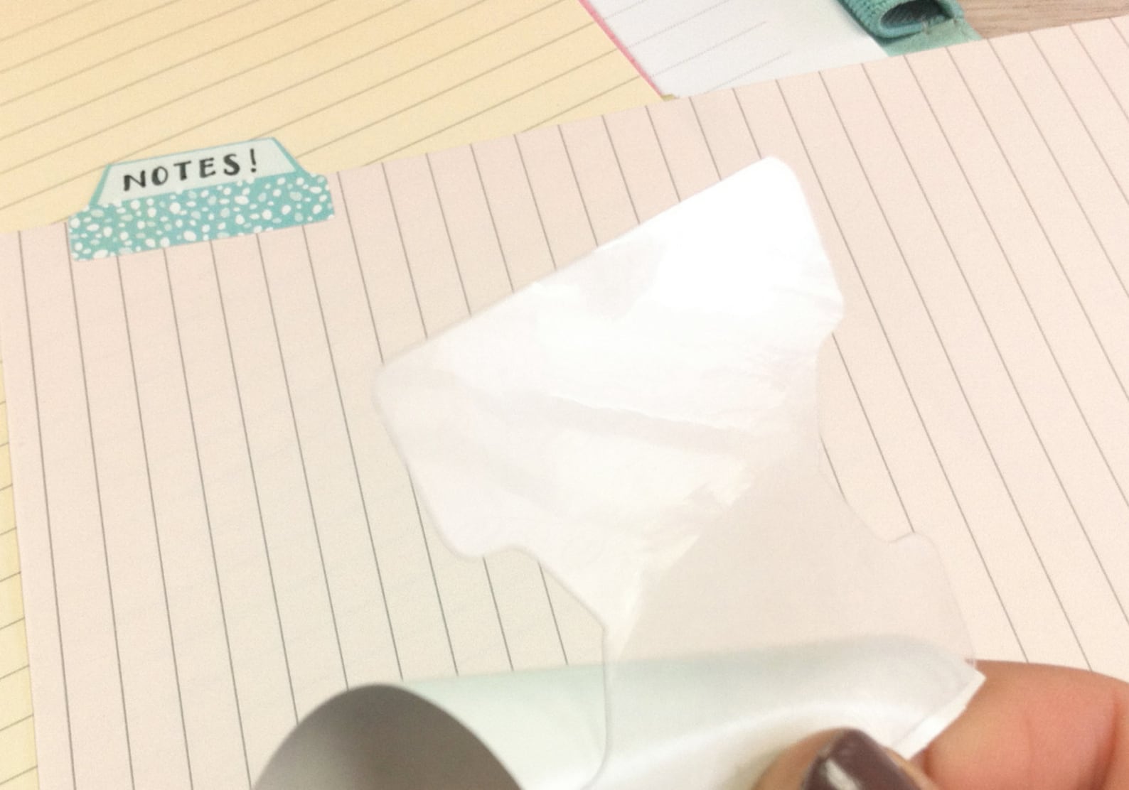 Adhesive Tabs for Planner or Files MINT | Etsy