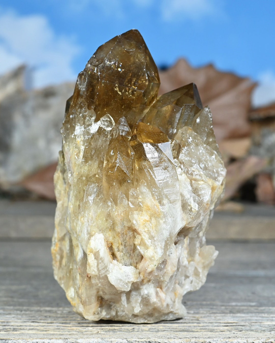 Big Natural Congo Citrine Cluster | 1.7LB Kundalini Quartz | Unheated ...