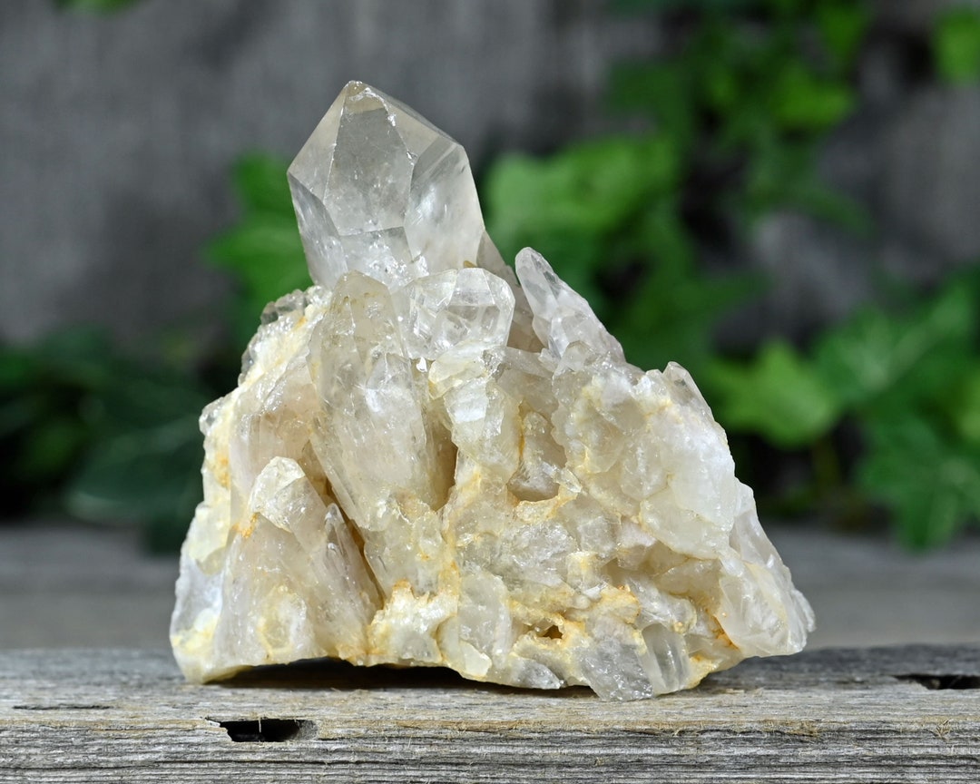 Standing 2.5 Tall Congo Citrine Crystal Cluster Kundalini Citrine ...