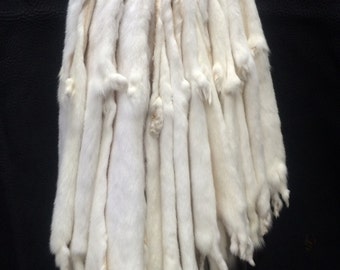 Tanned Fur - Ermine - Hides Pelts Skins Winter Long Tail Weasels 10 ...