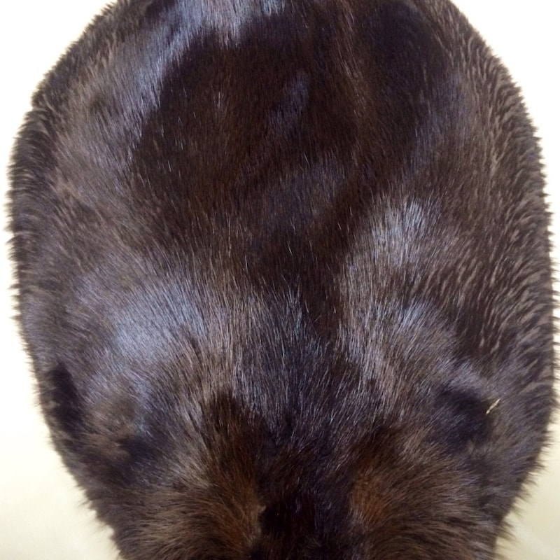 Beaver Pelt - Etsy