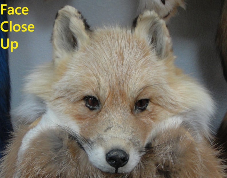 Red Fox Head HAT - Etsy