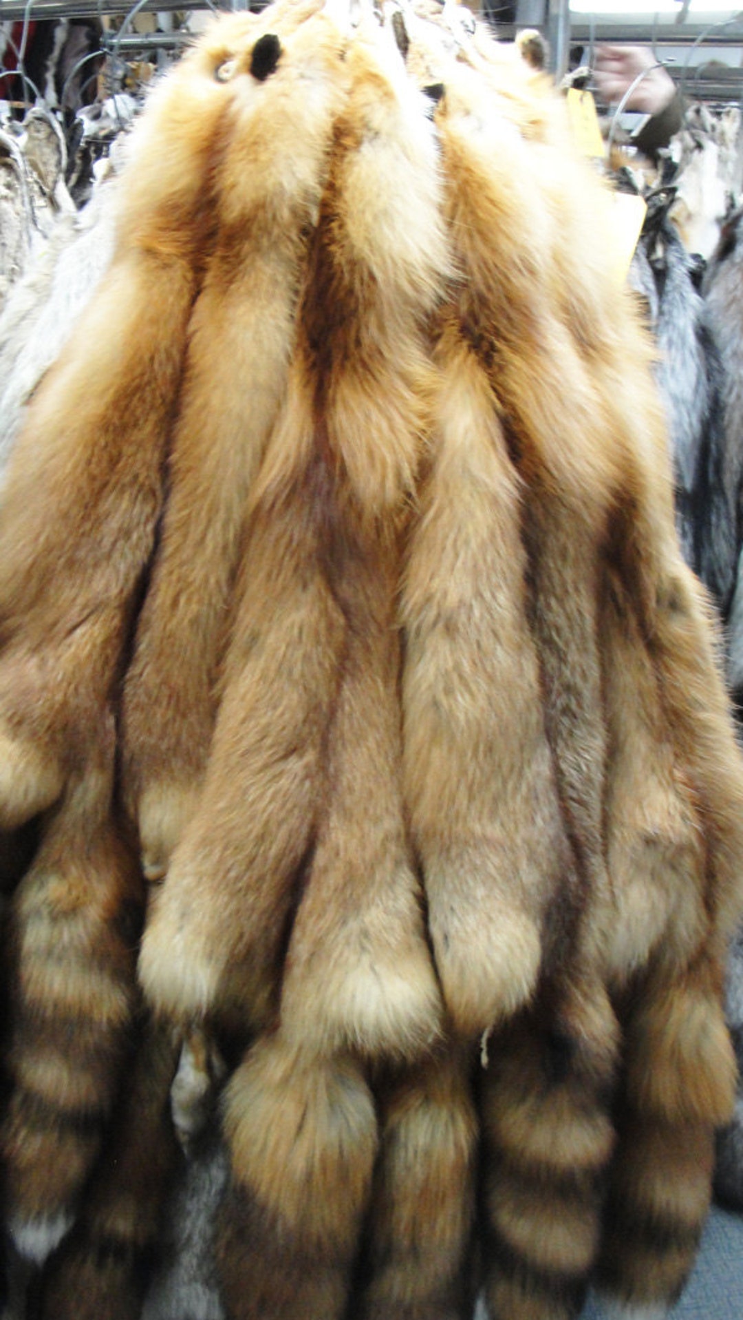 Red Fox Pelt - Etsy