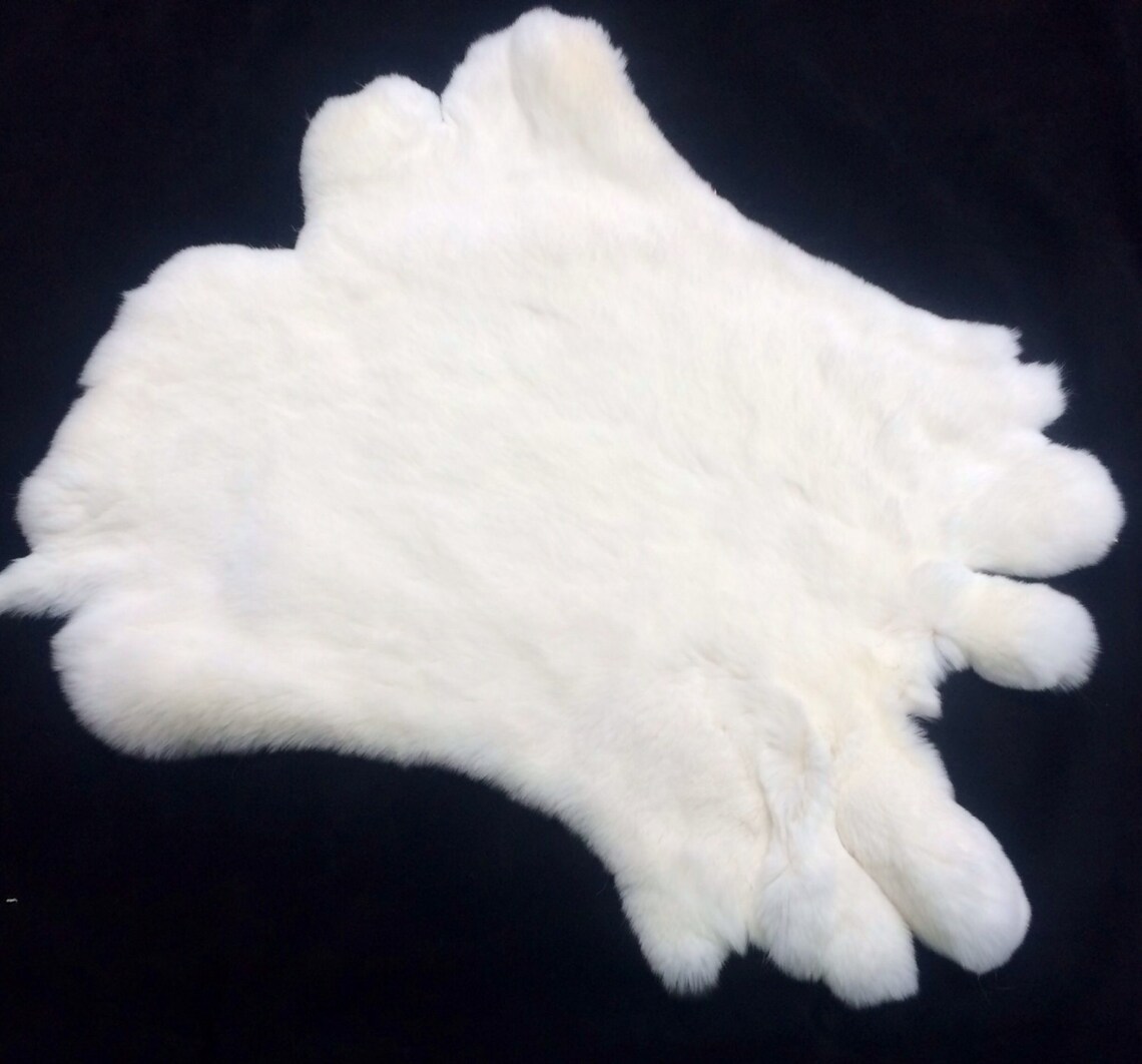 Rex Rabbit Pelt - Etsy