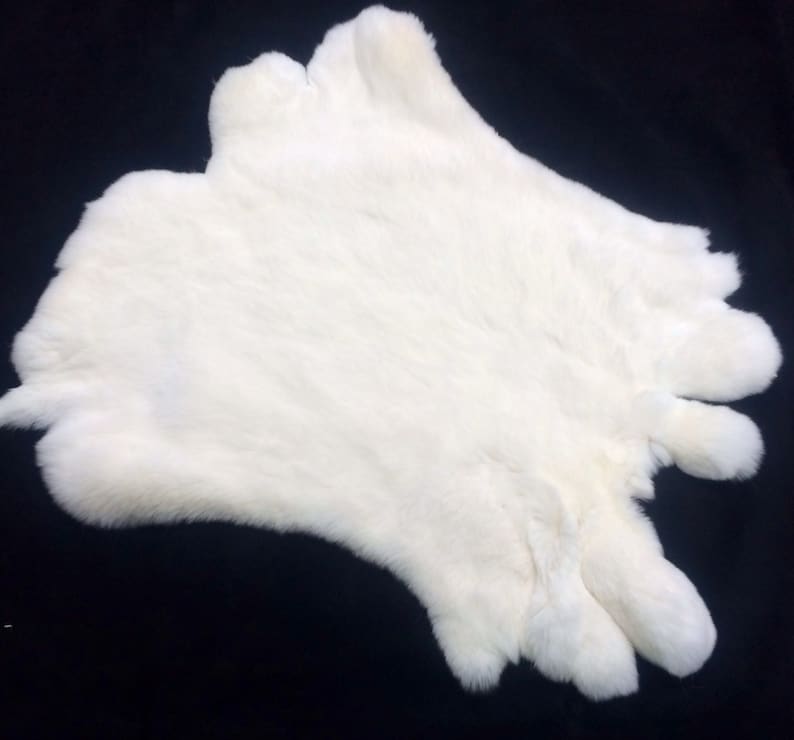 Rex Rabbit Pelt - Etsy