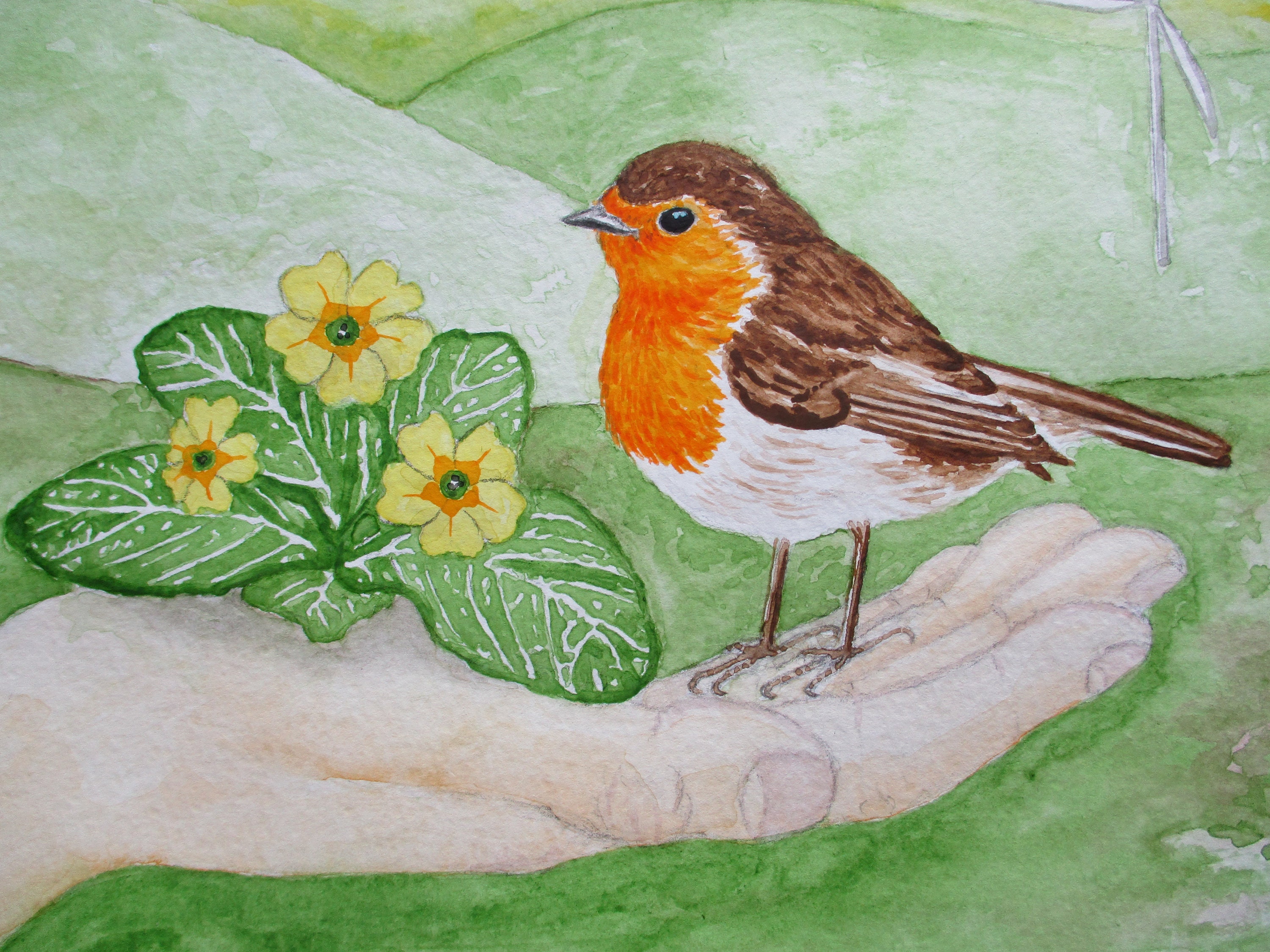 Bird Painting, Robin Painting, Robin Original Watercolour Painting ...