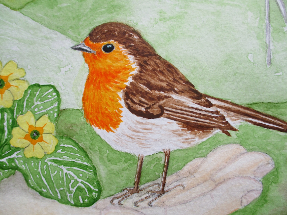 Bird Painting, Robin Painting, Robin Original Watercolour Painting ...