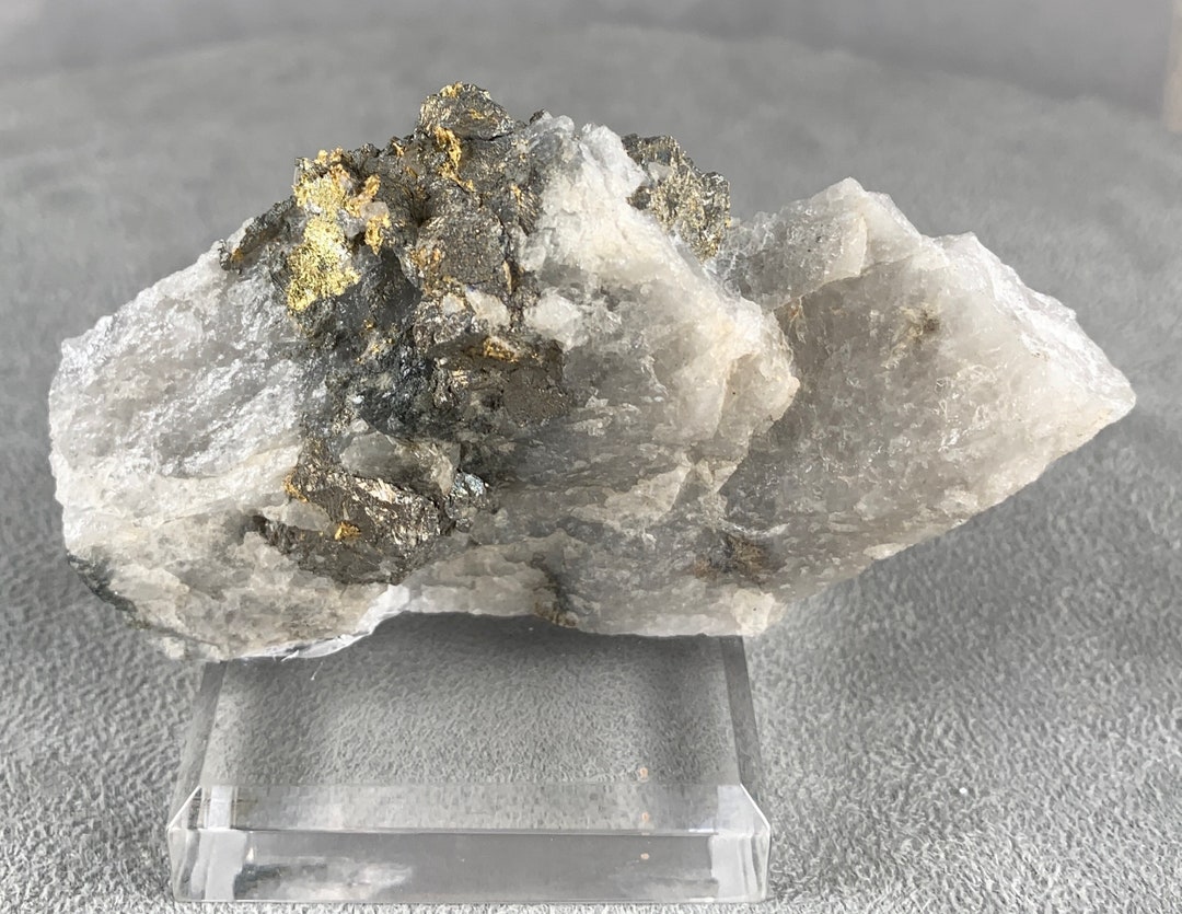 Native Gold in Quartz, Gold Specimen Mclaughlin Mine, M2560, From ...