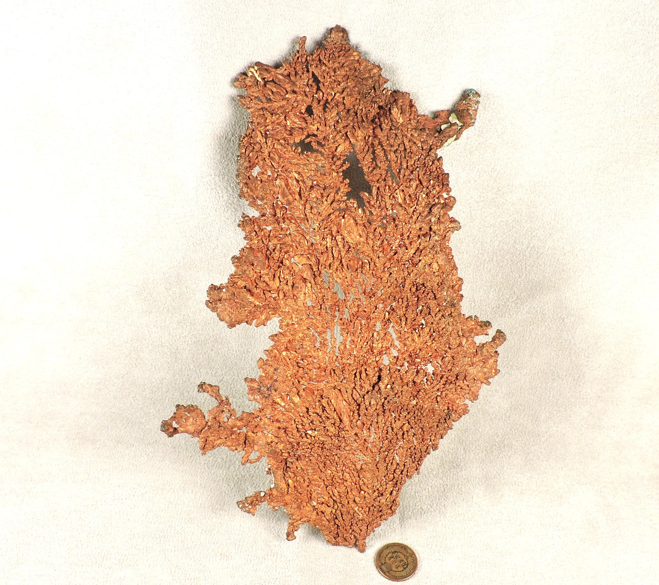 Native Copper Crystals, Native Fern Copper, Bisbee Native Copper, From ...