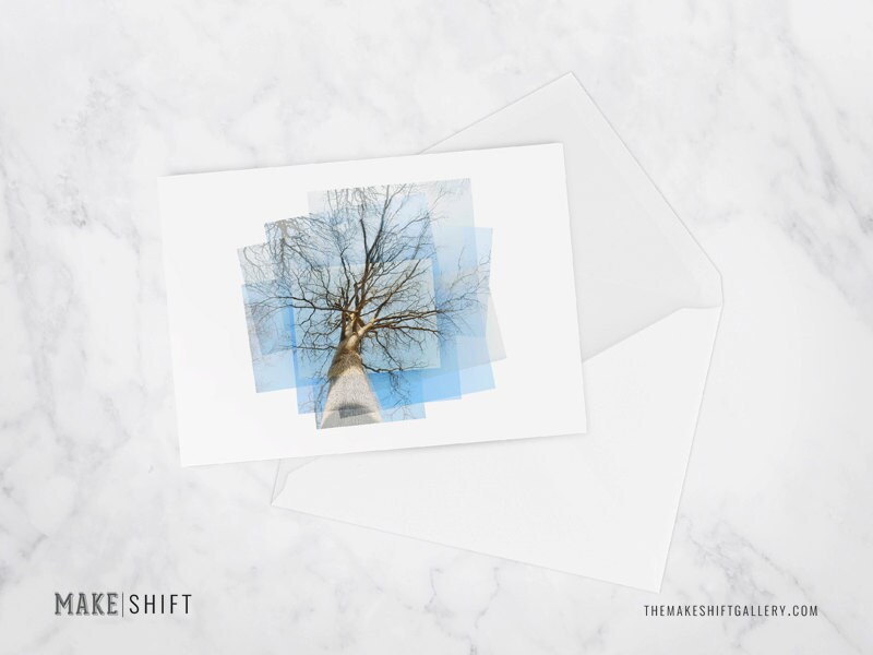 Roots & Branches No. 1 Notecard Nature Photography, Stationery ...