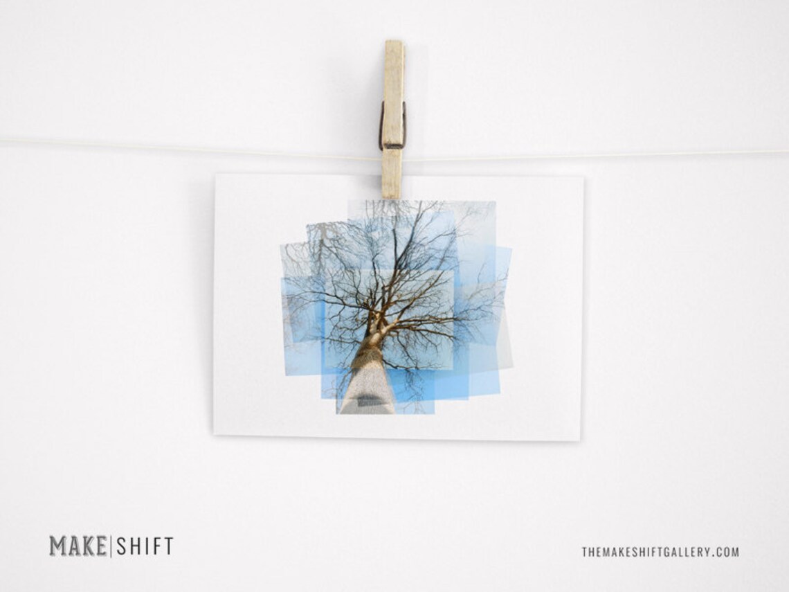 Roots & Branches No. 1 Notecard - Nature Photography, Stationery ...