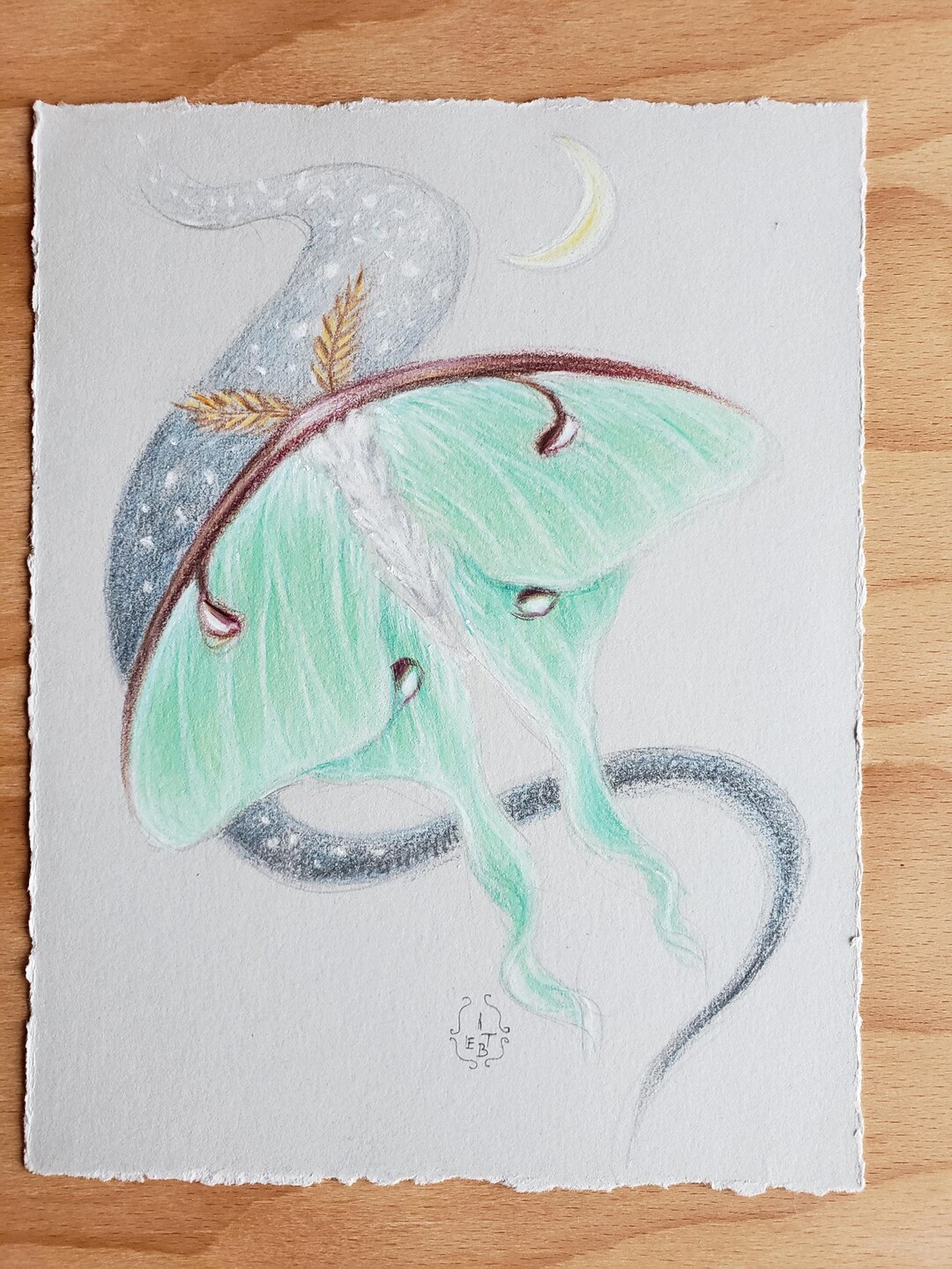 Luna Moth Colored Pencil Original Art Handmade Drawing One of a Kind ...