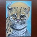 Margay Wild Cat Colored Pencil Drawing on Panel and Limited Edition ...