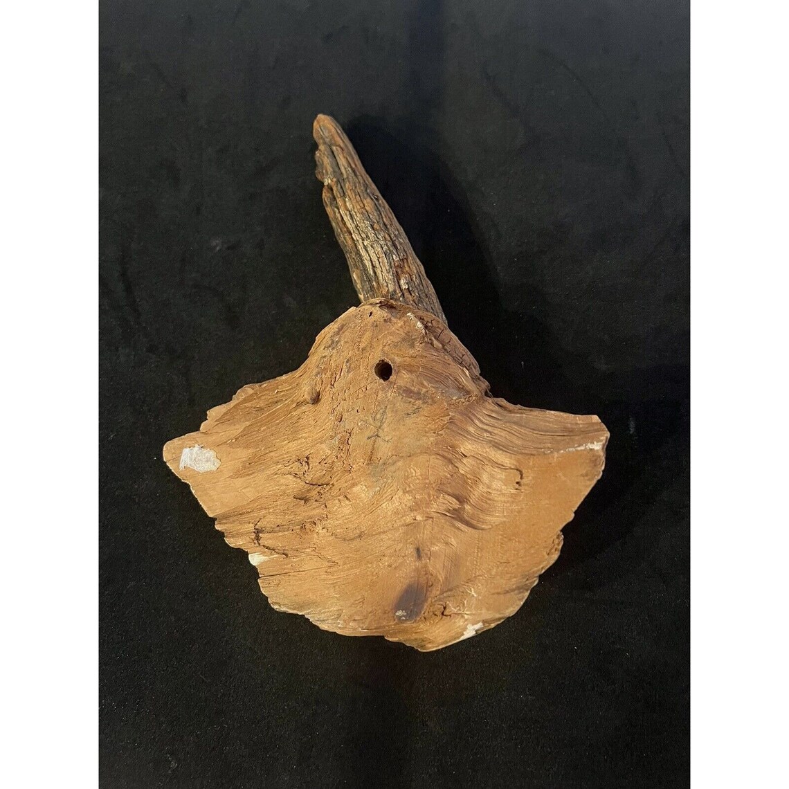 Wood Spirit Forest Gnome Face Knot Carving Unknown Artist Unique Wizard ...