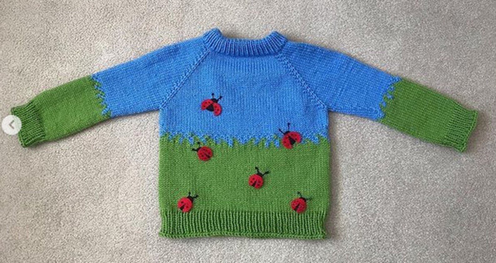 Child's Ladybug Sweater - Etsy