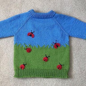 Child's Ladybug Sweater - Etsy
