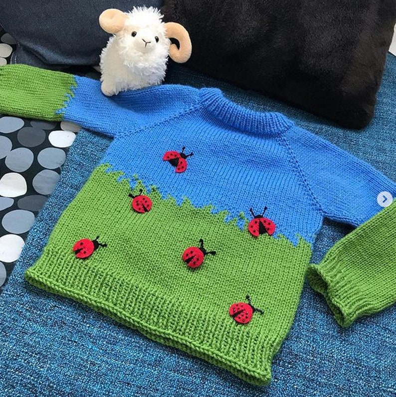 Child's Ladybug Sweater - Etsy