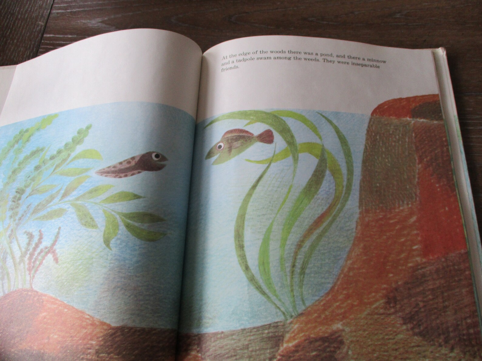 FISH IS FISH Leo Lionni Book Club Ed. 1970 Fair - Etsy