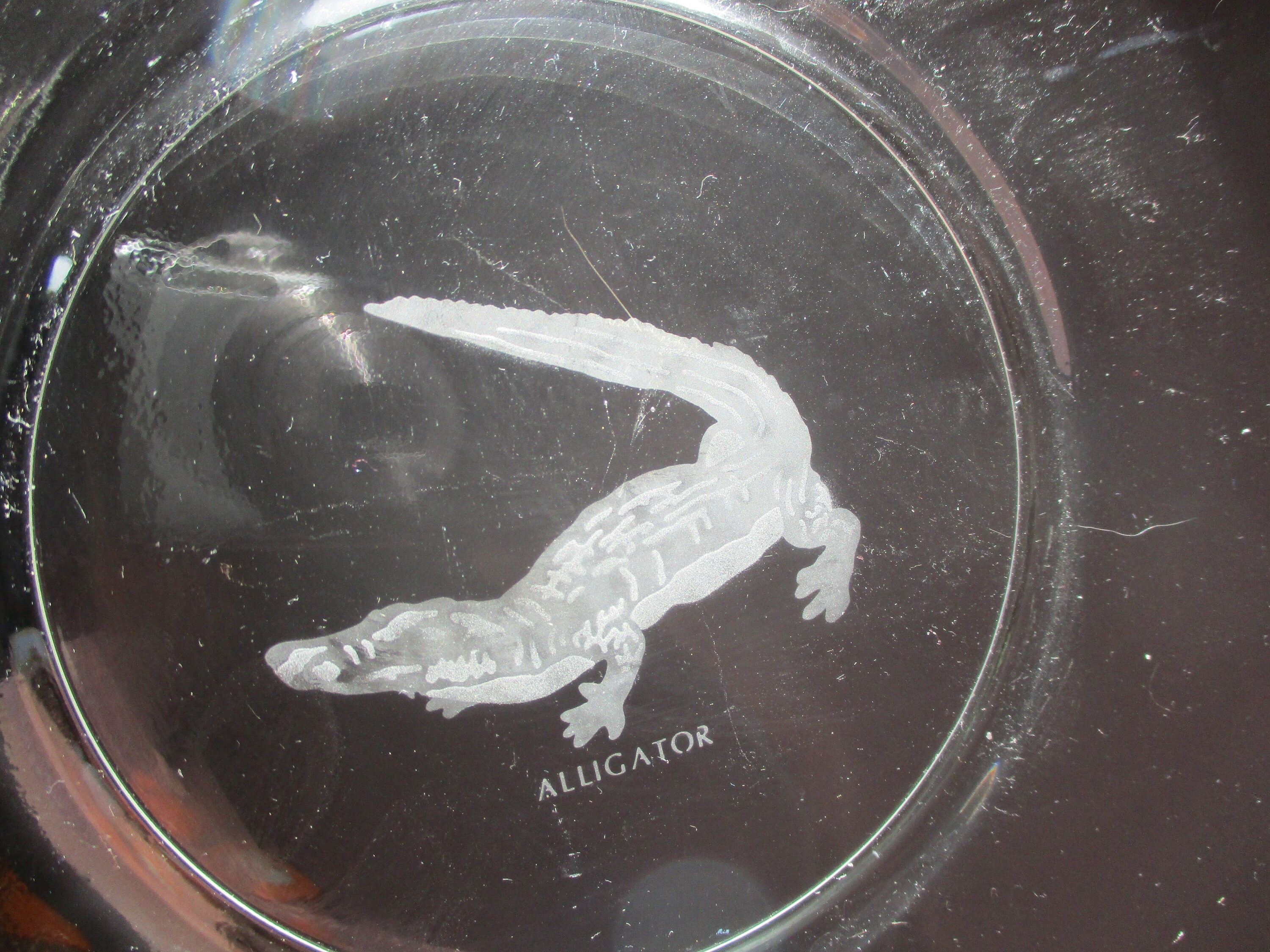Clear Glass Animal Plates Reptiles Condor Alligator Mexican | Etsy