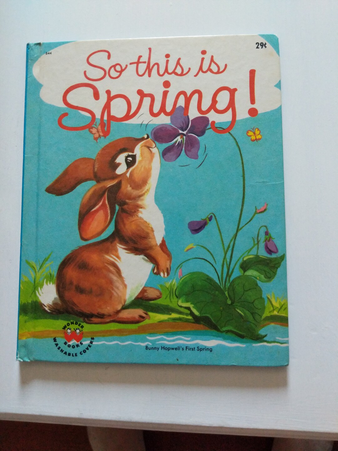 VINTAGE Wonder Book Washable Cover 1954 so This is Spring - Etsy