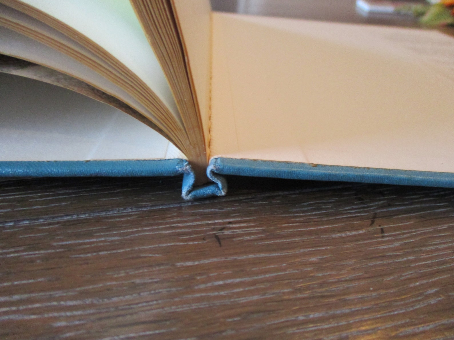 George Washington Ingri & Edgar Parin D'aulaire Dust - Etsy