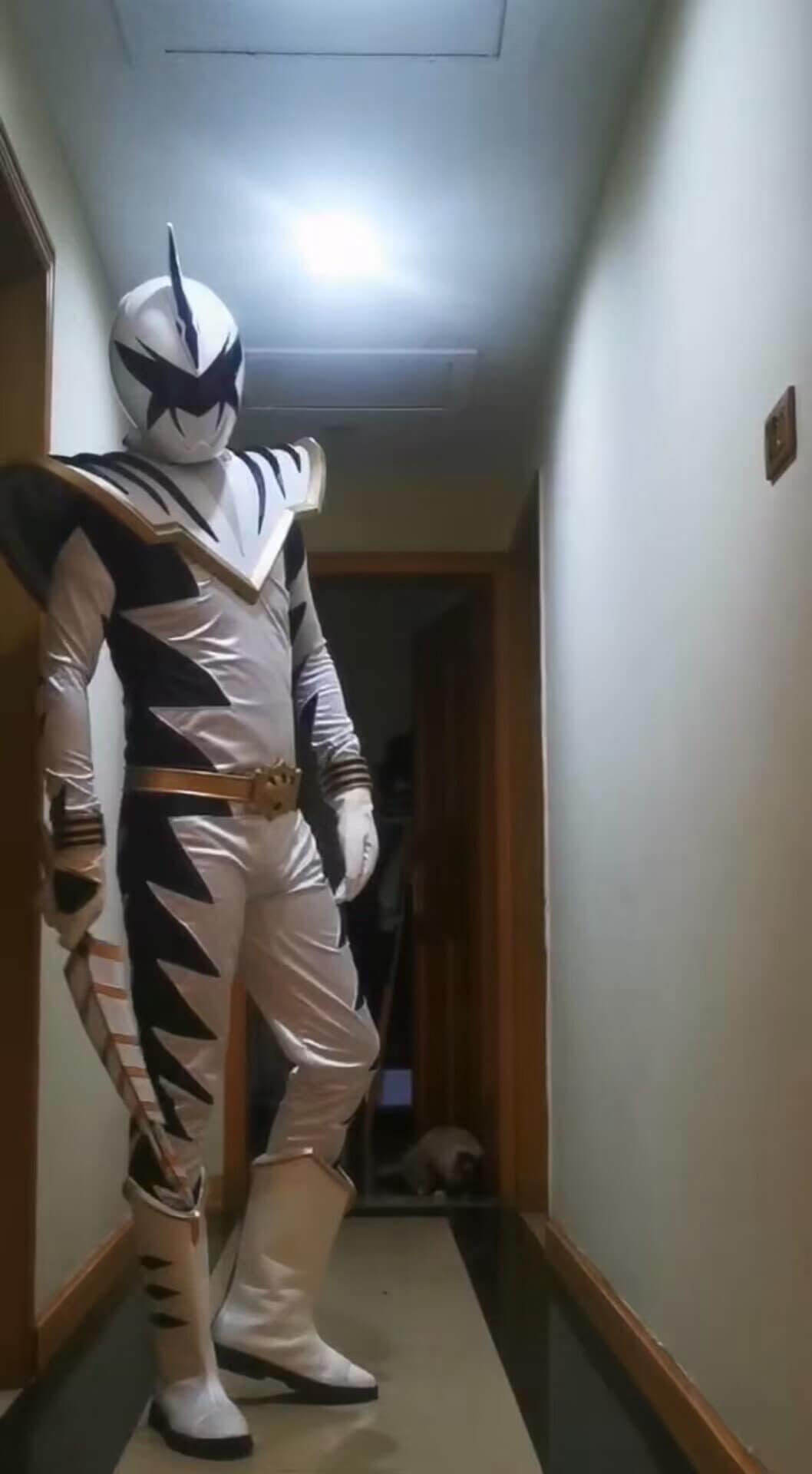 Power Rangers Dino Thunder White Dino Ranger Trent_fernandez-mercer ...