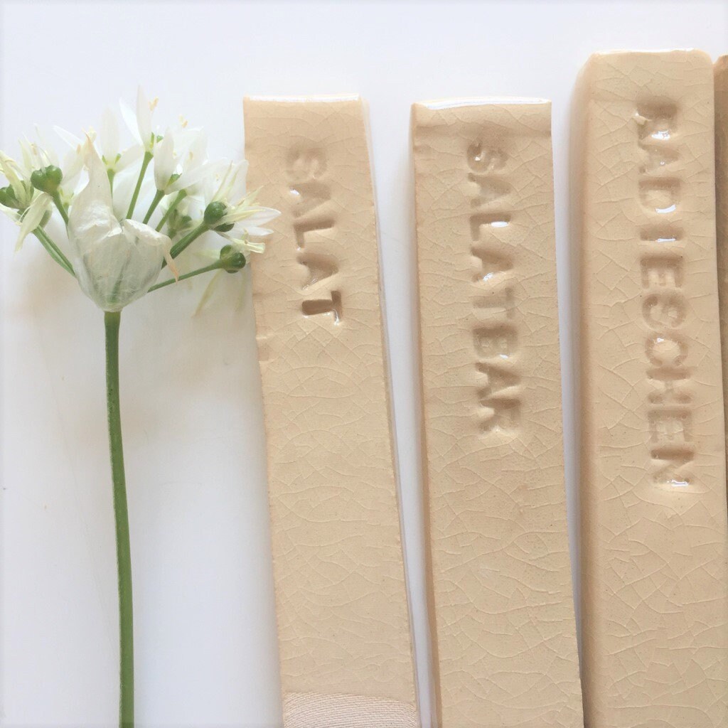 Vegetables, Salad Fun Plugs for the Vegetable Bed White Herb Plugs ...