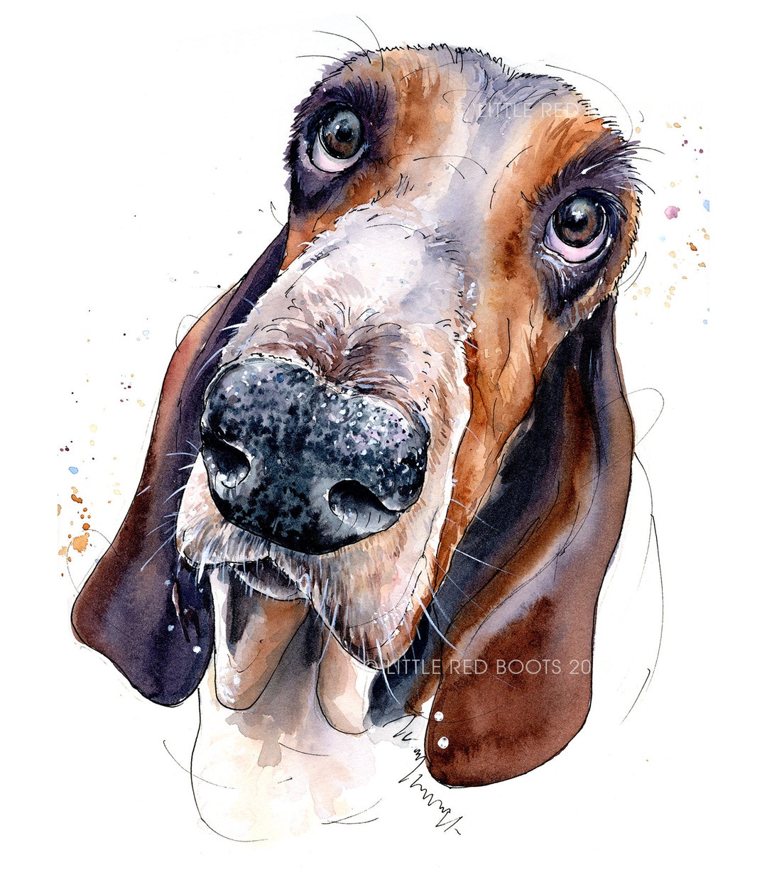 Basset Hound Print - Etsy