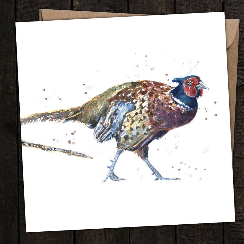 Pheasant Card Pheasant Birthday Card Pheasant Country | Etsy