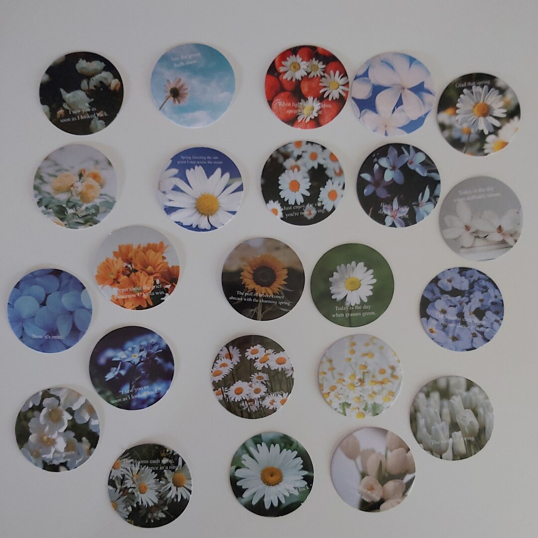 Pretty Round Cardboard Flower Stickers for DIY, Scrapbooking, Planner ...