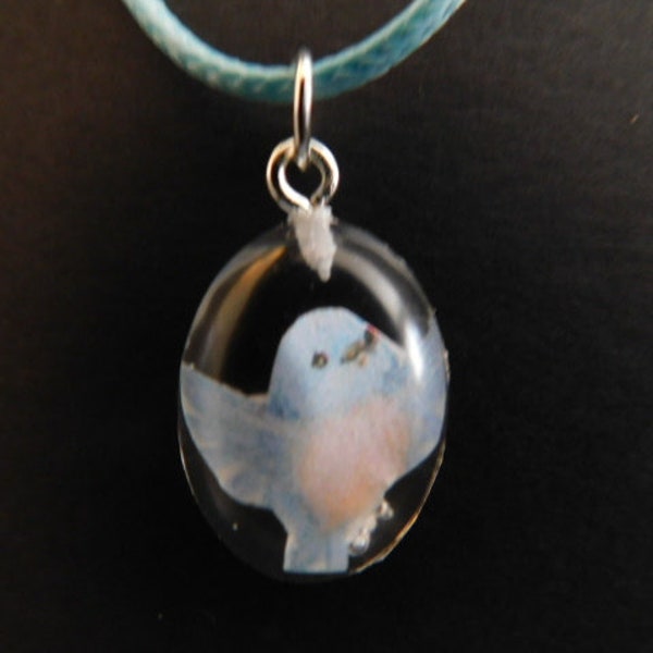 Bluebird Necklace - Etsy