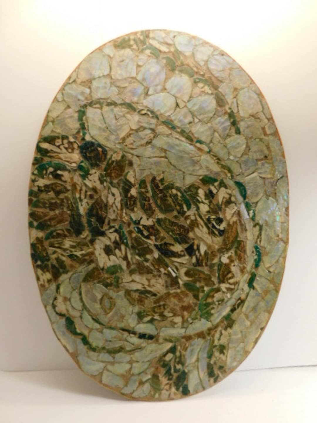 Absolutely GORGEOUS tahong Frame Art Piece/wall Hanging/ Tray Mussel ...