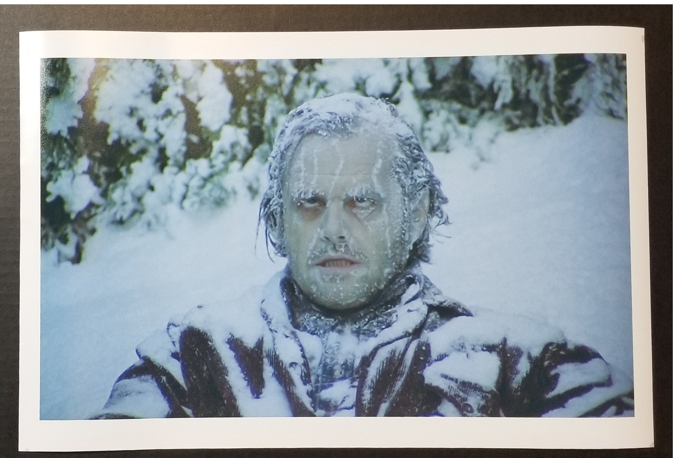 Jack Nicholson The Shining Frozen
