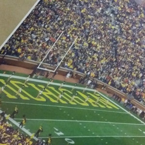 University of Michigan Stadium GIANT WIDE 42 X 24 Football College ...