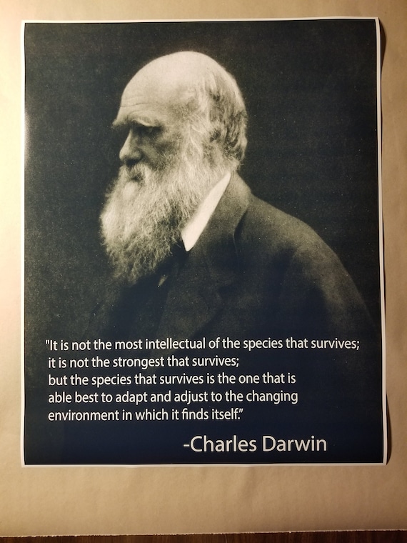 Charles Darwin Quote 30 X 24 Poster Print | Etsy