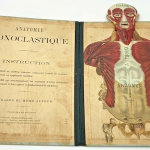Antique 1875 Rare French Medical Human Anatomy Diagram Pop-up Book G.J ...