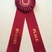 Satin Award Rosette Ribbons Best of Show - Etsy