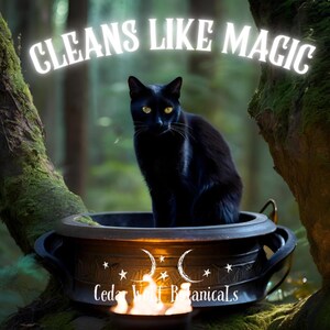 Practical Magic Soap, Activated Charcoal, Wood Ash, Victorian ...