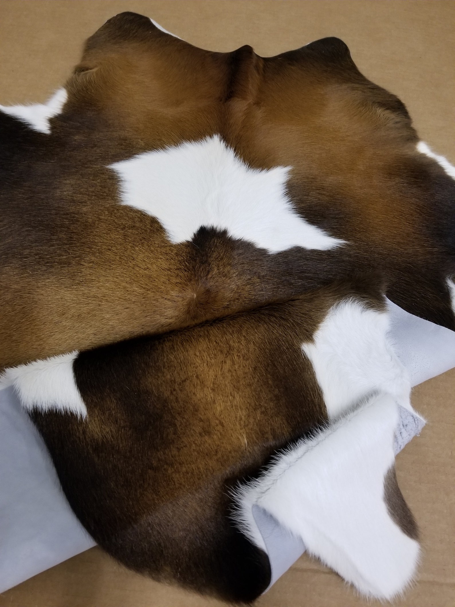 Cowhide Rug Chocolate Calf Hide Cow Hide Brazilian Area Rugs - Etsy