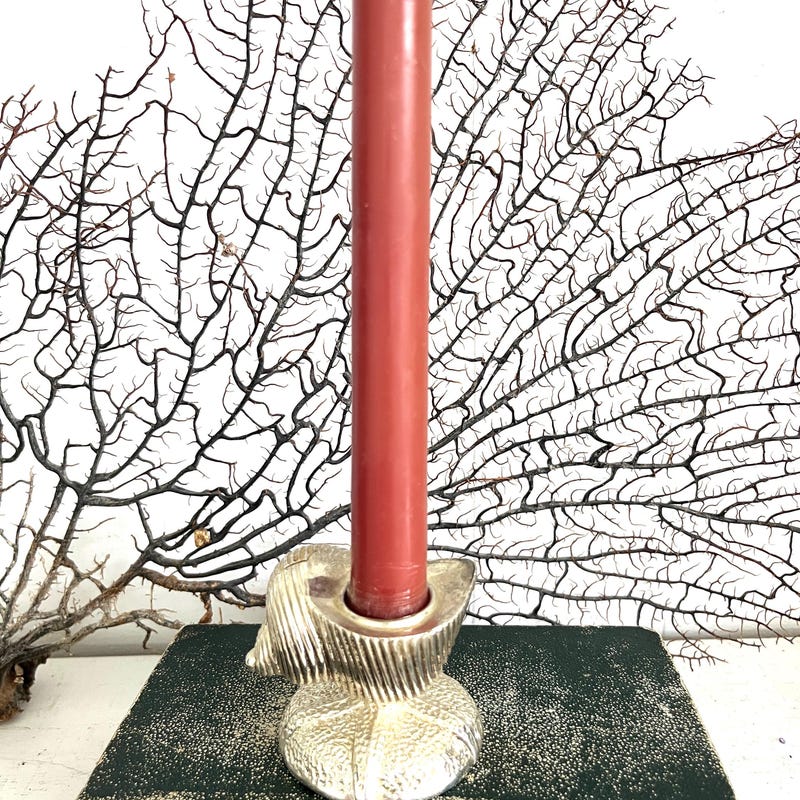 Shells Candle Holder - Etsy