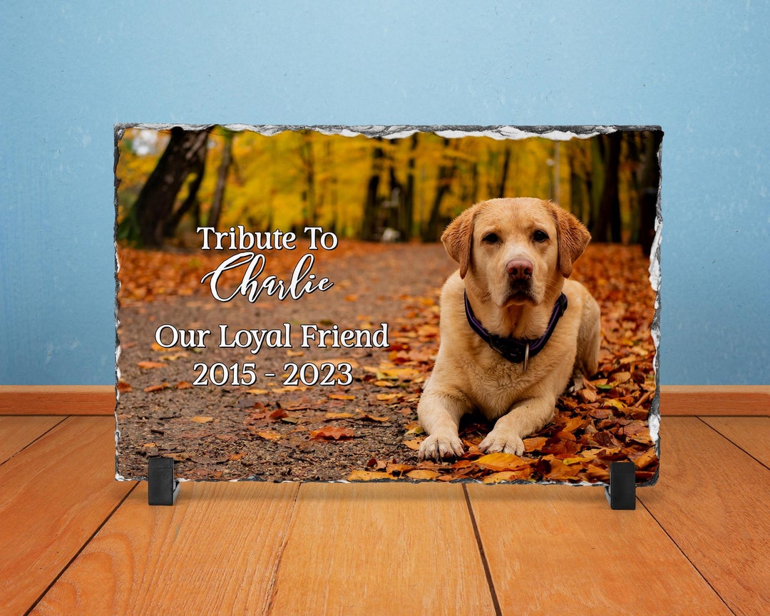 In Loving Memory Pet Memorial Slate Frame - Etsy