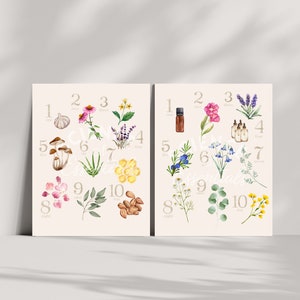 Aromatherapy and Plant Counting Chart: Printable - Etsy